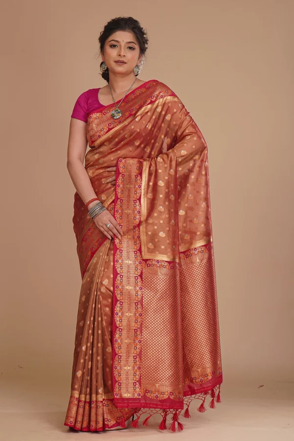 Muted Brown Tissue Saree - Priya Gopal Bishoyi